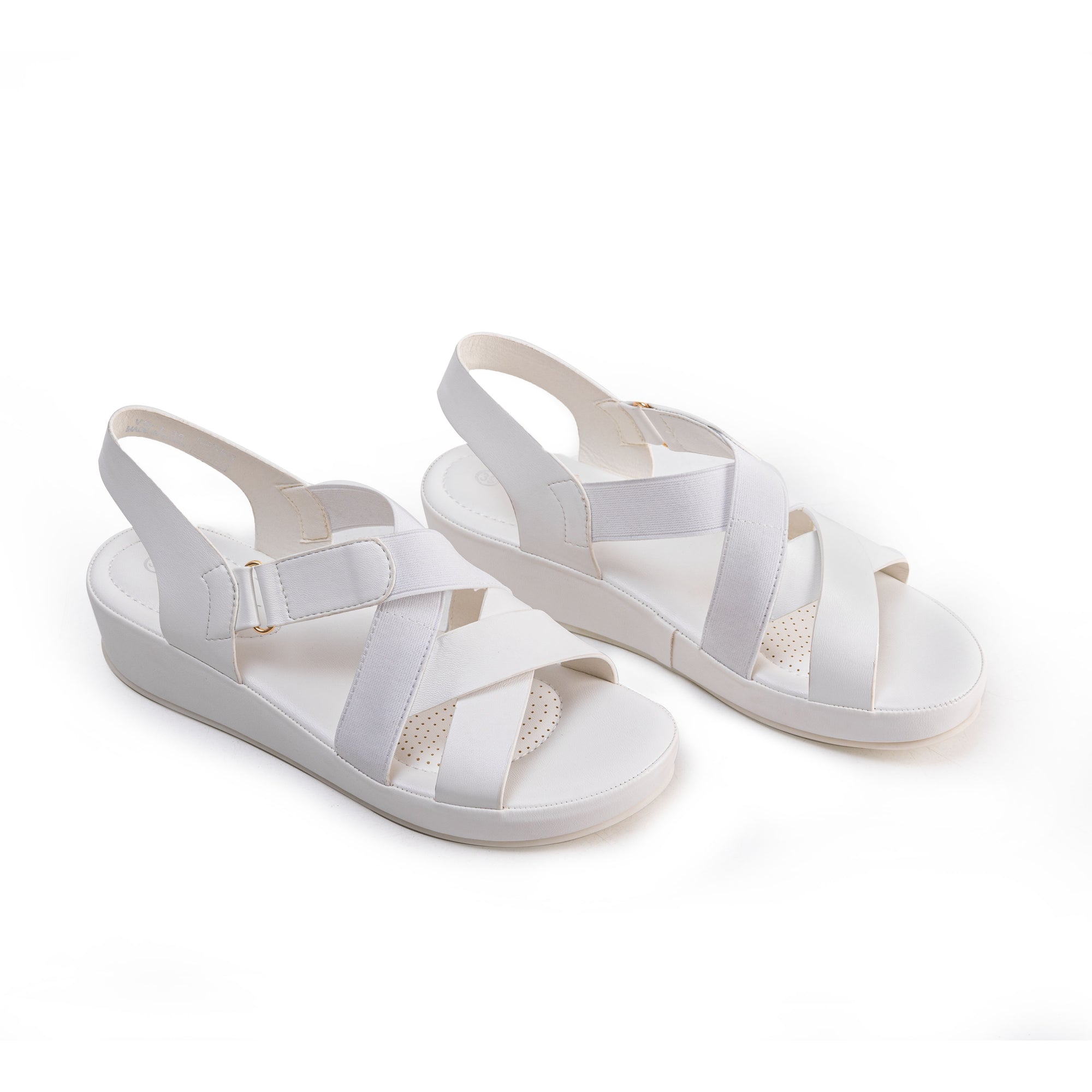 Cats Sylvara - VG1 – CATS